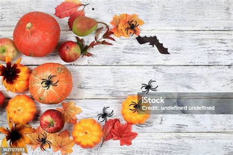행복한 추수 감사절 개념 엽서 계절 배 호박 사과 거미 및 나무 배경에 나뭇잎이있는 가을 배경 감사에 대한 스톡 사진 및 기타 이미지 Istock