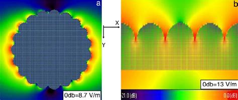 Fdtd Simulated Electric Field Distribution For A Cauliflower Like Rh Download Scientific