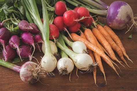 나무 테이블에 신선한 봄 뿌리 야채 무 마늘 당근 파 순무의 첫 번째 수확 생 야채와 직접 재배한 채소를 가까이에서 볼 수