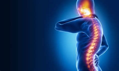 Spinal Cord Injuries Causes Treatment And Rehabilitation The Brief