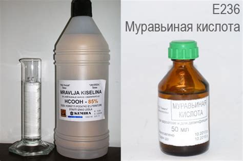 E236 Муравьиная кислота - действие на здоровье, польза и вред, описание ...