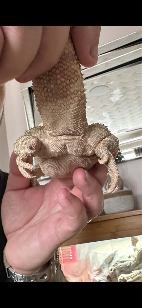 Hello All Could Anyone Help Me Sex My Buddy Bert Please Dont Worry