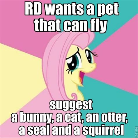 Mlp Flutterbat Memes