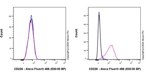 Anti Cd226 Antibody [epr23641 137] Bsa And Azide Free Ab318184 Abcam
