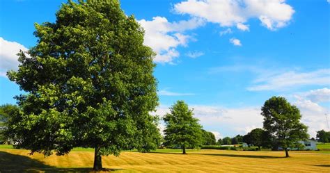 10 Things You Need To Do In Ohios Amish Country