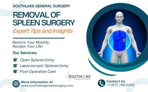 Removal Of Spleen Surgery Essential Guide Southlake General Surgery