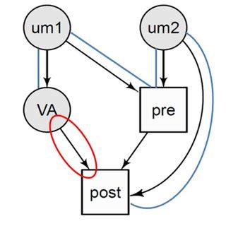 The Graph Used To Explore Validity Download Scientific Diagram