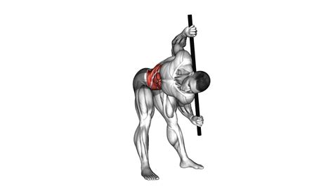 Bent Over Twist Ultimate Video Guide And Tips For Effective Exercise