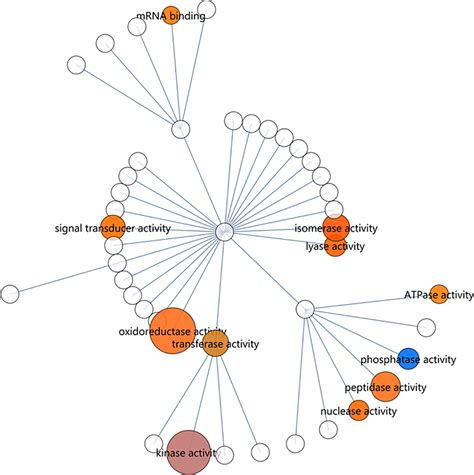 Gene Set Enrichment Map Of Rna Seq Data Using The Go Slim Yeast Download Scientific Diagram