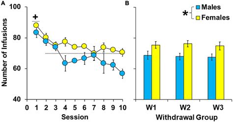 Frontiers Sex Differences In The Neuroadaptations Associated With