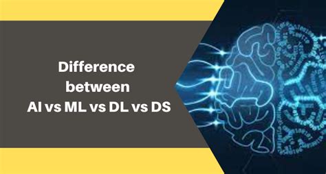 ai ml dl ds the difference explained