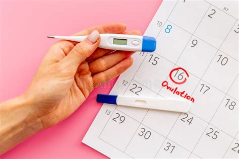 Calendrier De Température Basale Avec Les Mains Tenant L ovulation à