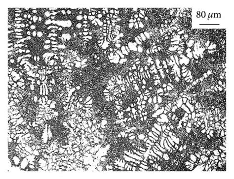 The Microstructure Of The Support Of Sc At Different Pouring Download Scientific Diagram