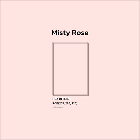 About Misty Rose Color Codes Matching Colors And Paints