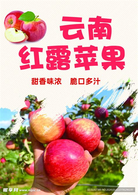 云南红露苹果设计图 PSD分层素材 PSD分层素材 设计图库 昵图网