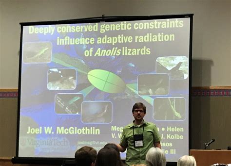 Evolution 2017 Genetic Constraints In The Anolis Adaptive Radiation Anole Annals