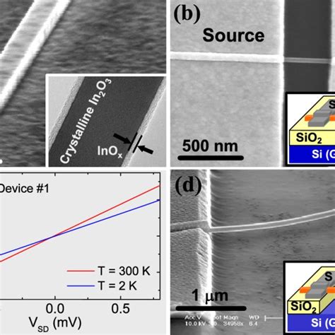 A Representative Scanning Electron Microscopy Sem Image Showing The