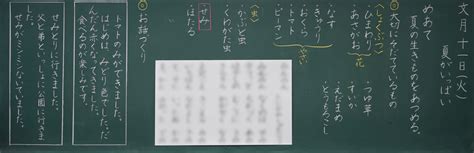 小2国語「夏がいっぱい」京女式板書の技術｜みんなの教育技術