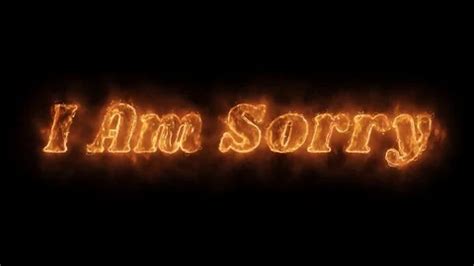 I Am Sorry Word Hot Animated Burning Rea... | Stock Video | Pond5