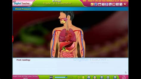 Blood Pressure Transportation Class 10 Biology Digital Teacher