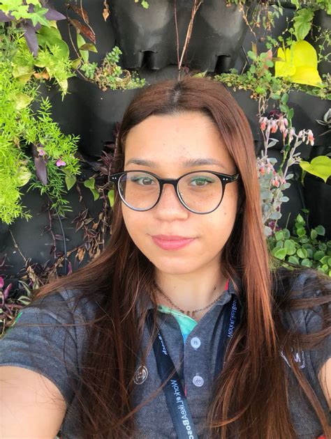 Dia 18 De Agosto Dia Nacional Do Estagiário Isabella Manzan