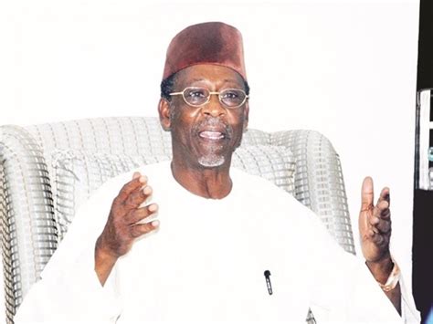 Yobe Pdp Accuses Apc Of Destroying Party Posters The Nation Newspaper