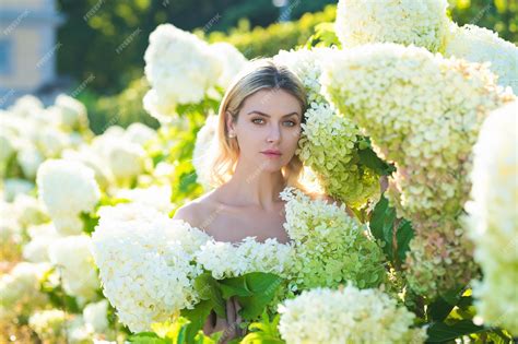 Junge Sexy Frau Oder Mädchen Im Blühenden Busch Von Hortensienblumen