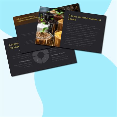 География 8 класс Презентация по теме Почва — особый компонент природы Факторы образования почв