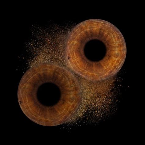 Suela Hasani On Linkedin Brown Things Are Beautiful Like Coffee And