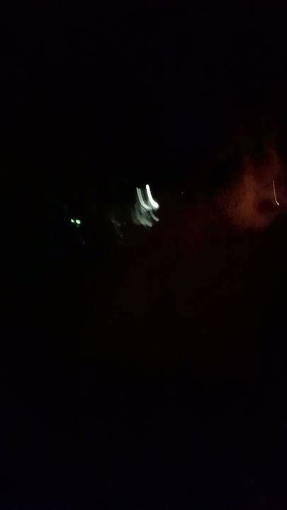 Cockroachcontrol Youtube