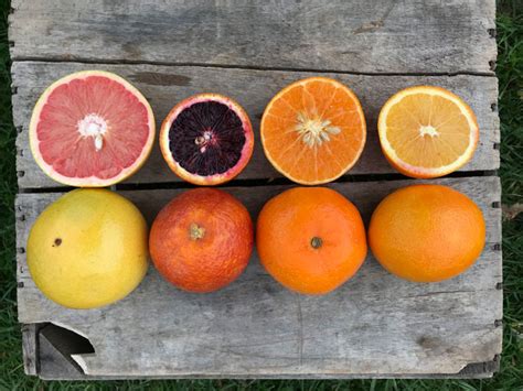 Types Of Citrus Fruits Pictures With Names