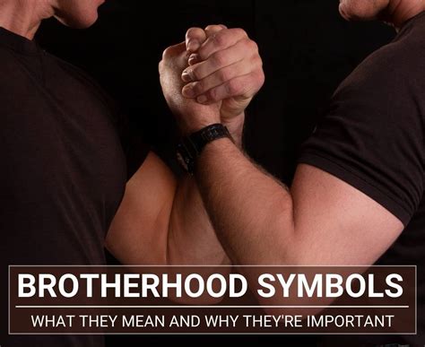 Gothic The Big Thing Of The Brotherhood At Philip Mayers Blog