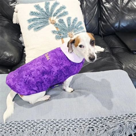 Sassy Sewing Sassy Sewing Alterations And Embroidery