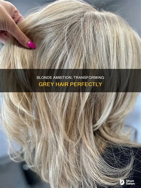 Blonde Ambition Transforming Grey Hair Perfectly Shunsalon