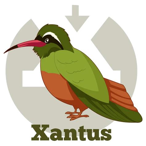 Vector Image Of An Hummingbird Design — Stock Vector © Yod67 50580345