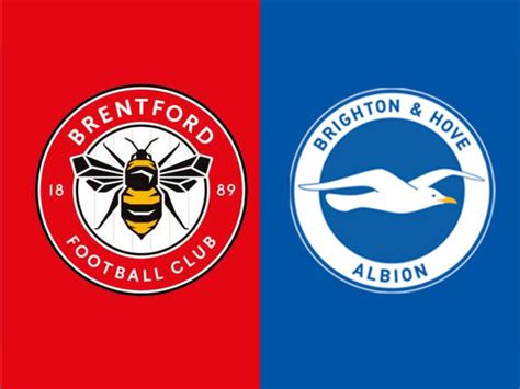 Update Terbaru Berita Tim Jelang Laga Brentford Vs Brighton Liga Olahraga
