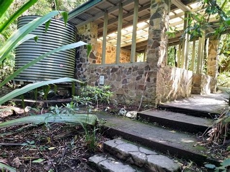 Tallanbana Picnic Area Springbrook Aktuelle 2021 Lohnt Es Sich