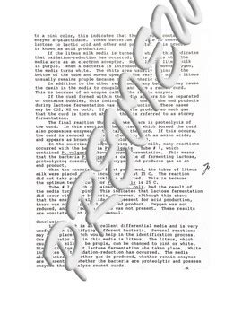 Microbiology Lab Report Instructions Requirements With Example Report Included
