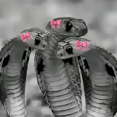 Suman Acharya Suman Acharya Added A New Photo