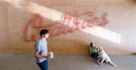 Sap To Acquire Qualtrics For 8 Billion Techtaffy