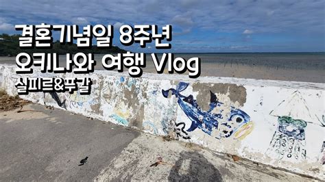 Vlog 결혼기념일 8주년 기념 오키나와 여행 실피르and푸갈 Youtube