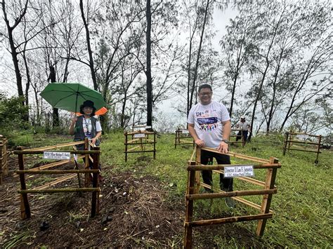 Csc Region 6 And Field Offices Hold Tree Growing For A Cause And Other