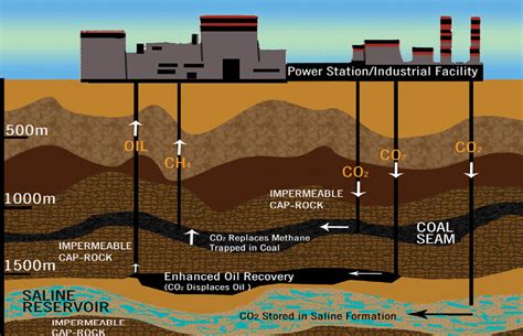 Does Carbon Capture Reduce Carbon Emissions — Psci