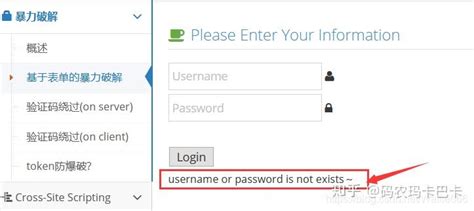 Burp Suite