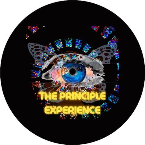 The Principle Experience Personal Growth And Financial Literacy In London