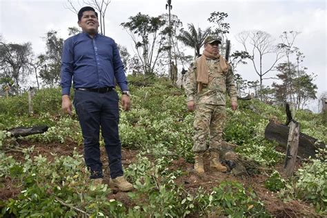 Abi Fuerza De Tarea Conjunta Erradica 33780 Hectáreas De Coca
