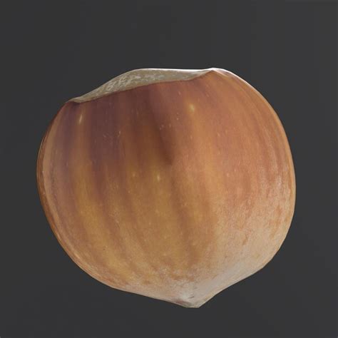 Premium Photo 3d Rendering Of Hazelnut Object