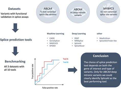 Benchmarking Deep Learning Splice Prediction Tools Using Functional