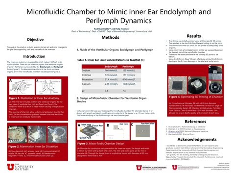 Microfluidic Chamber To Mimic Inner Ear Endolymph And Perilymph
