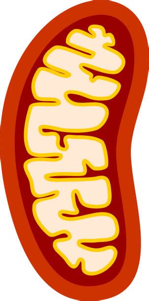 1200 Grafiken Lizenzfreie Vektorgrafiken Und Clipart Zu